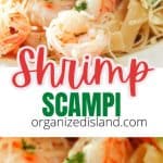 Shrimp Scampi