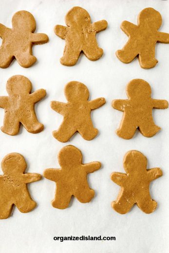 Plain Gingerbread Cookies - Organized Island