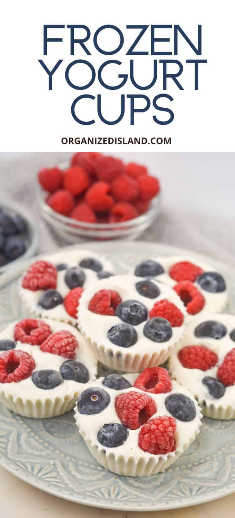 Frozen Yogurt Cups - Organized Island