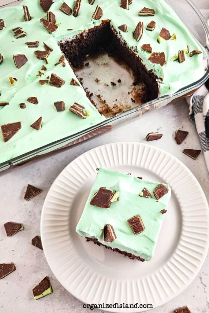 Chocolate Mint Cake - Organized Island