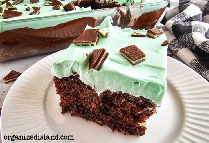Chocolate Mint Cake - Organized Island