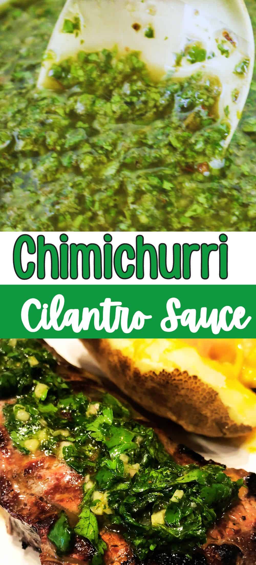Chimichurri with Cilantro - Organized Island