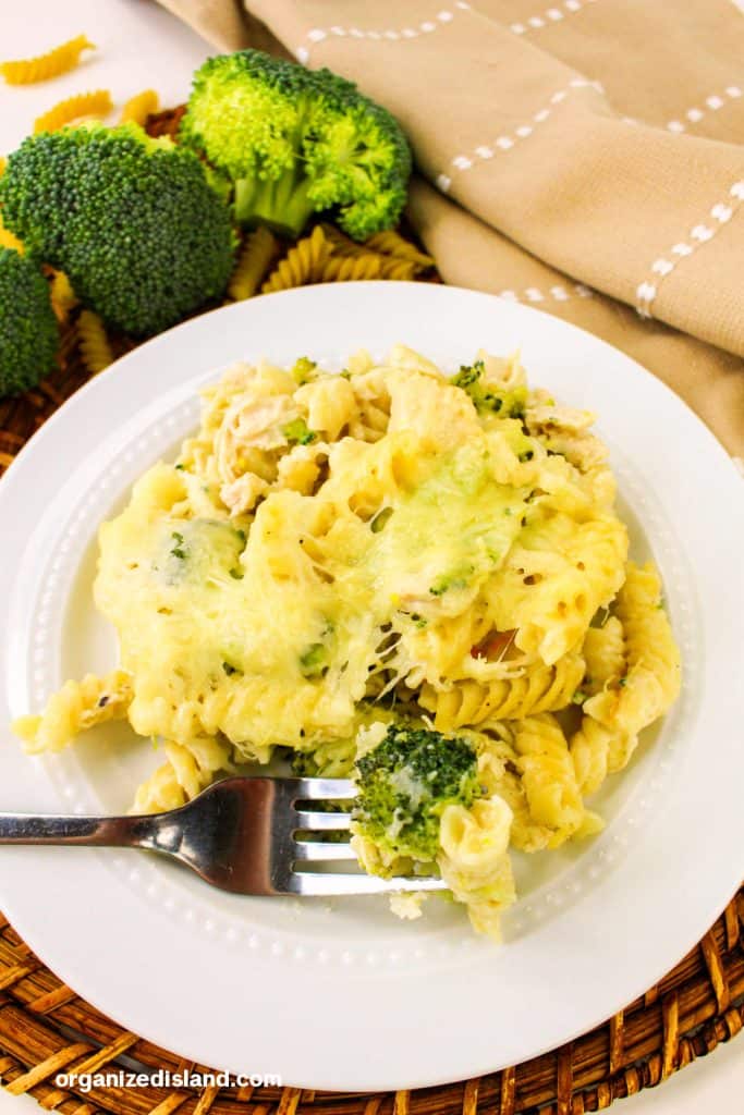 Chicken Broccoli Alfredo Casserole - Organized Island