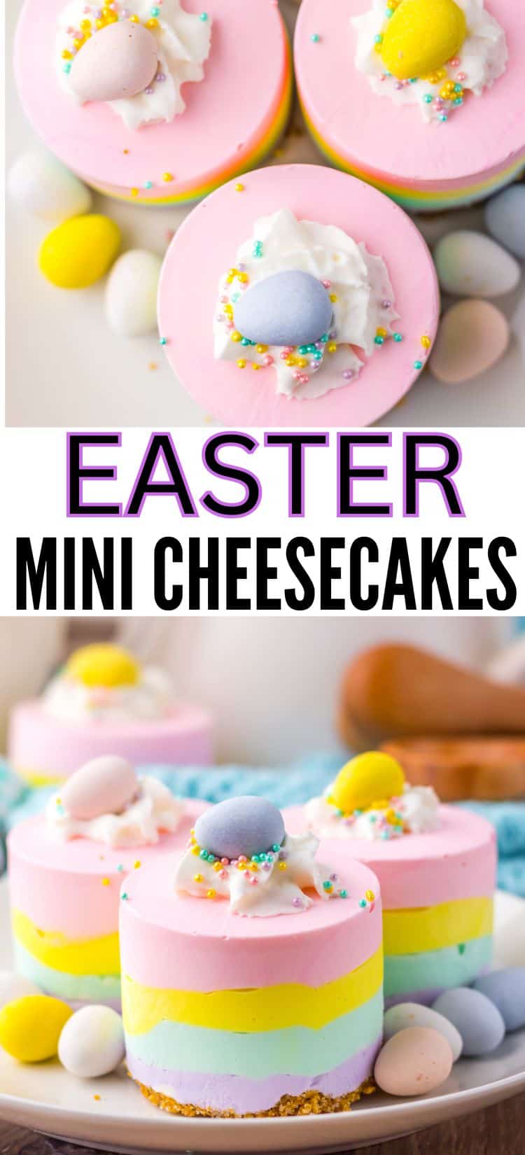 Easy No Bake Mini Easter Cheesecakes - Organized Island