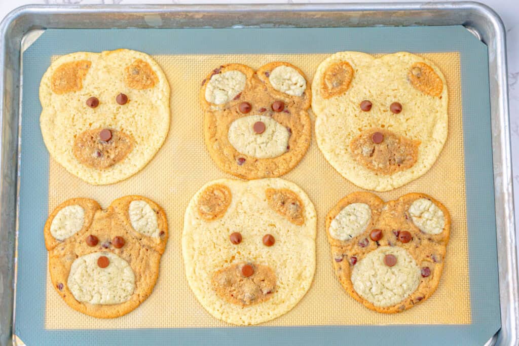 Teddy Bear Cookies - Organized Island