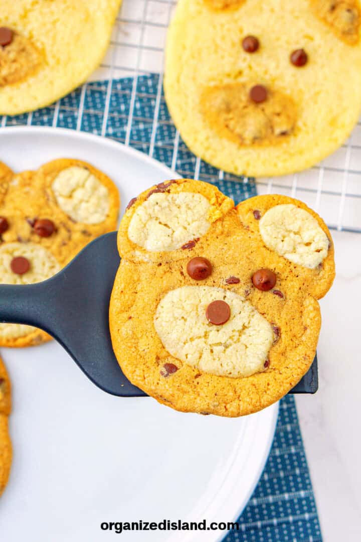 Teddy Bear Cookies - Organized Island