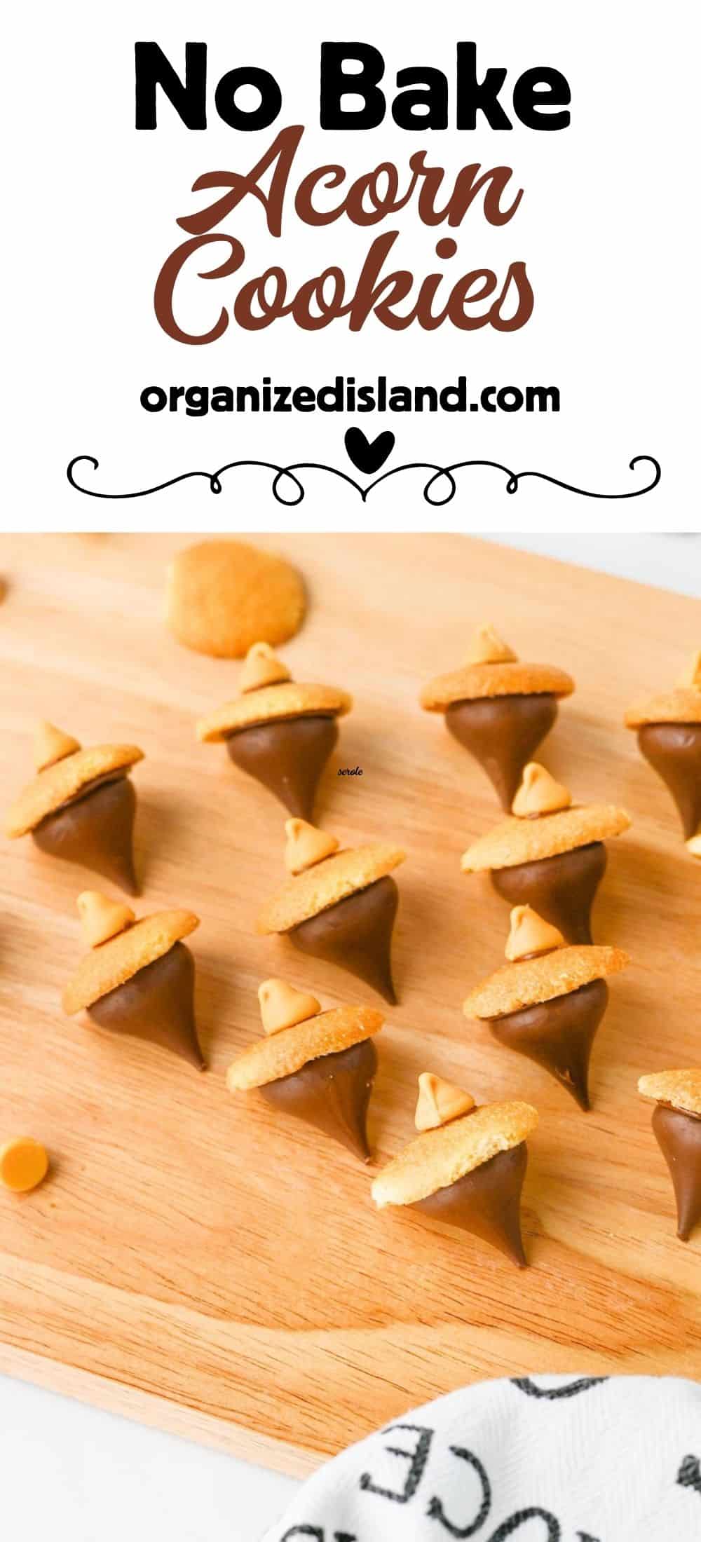 Easy No Bake Acorn Cookies Recipe - Organized Island