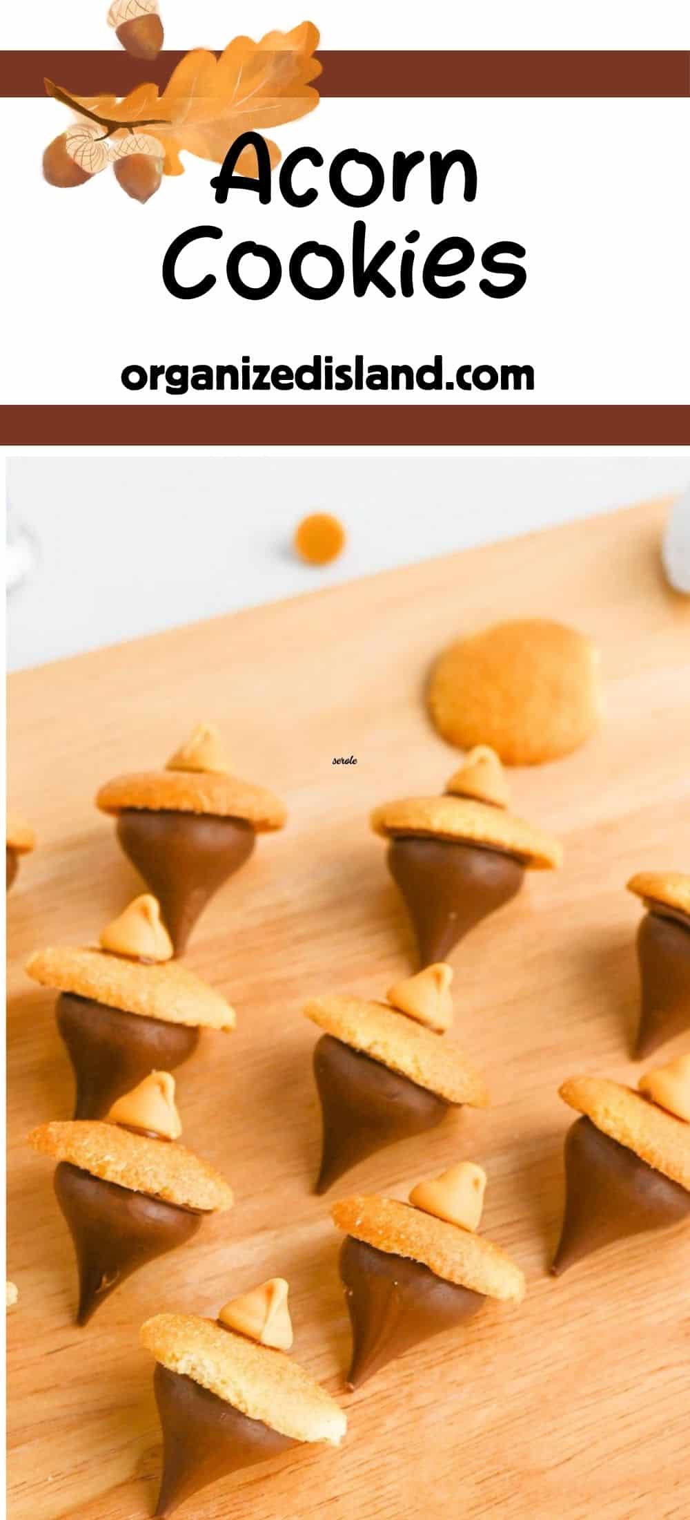 Easy No Bake Acorn Cookies Recipe - Organized Island