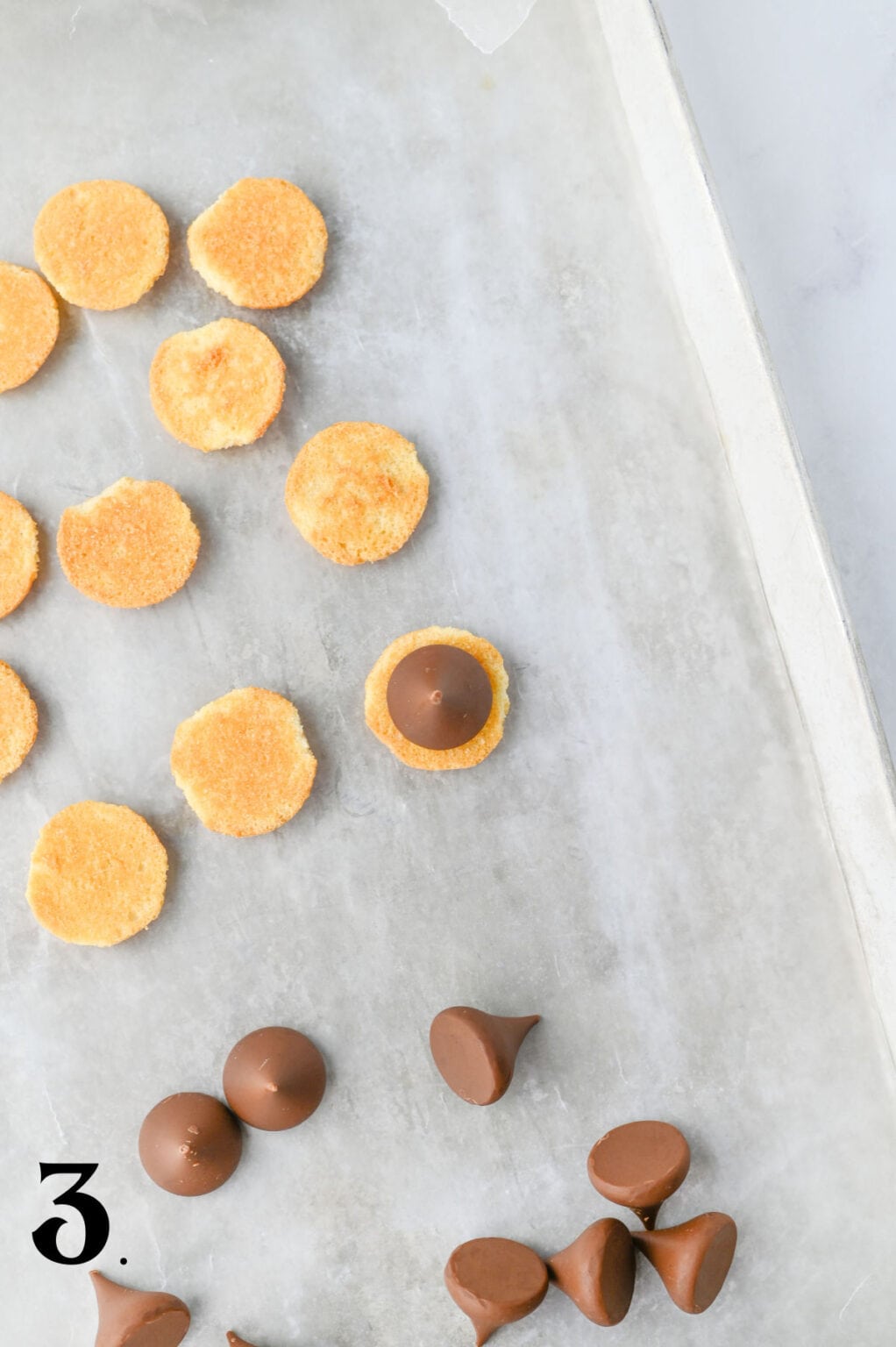 Easy No Bake Acorn Cookies Recipe - Organized Island