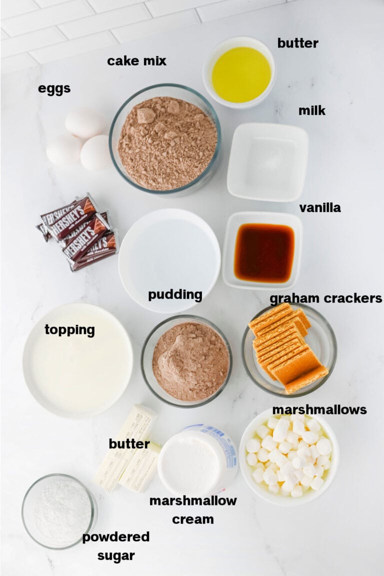 Easy S'mores Cake Dessert Recipe - Organized Island