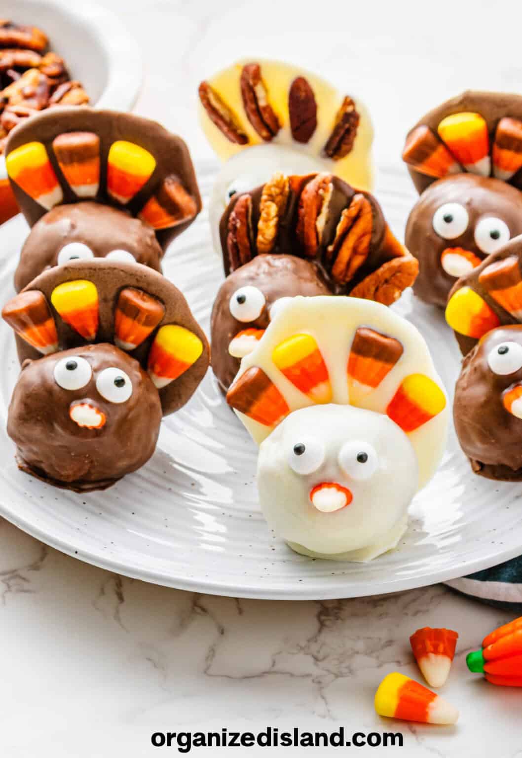 No Bake Turkey Pumpkin Pie Balls - Organized Island