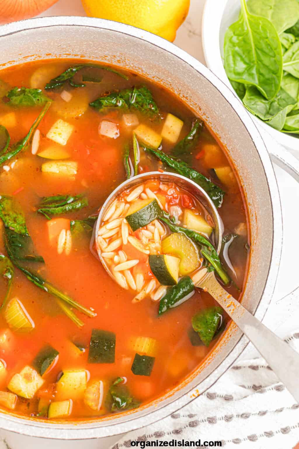 Vegetable Orzo Soup (Easy One Pot Recipe) - Organized Island