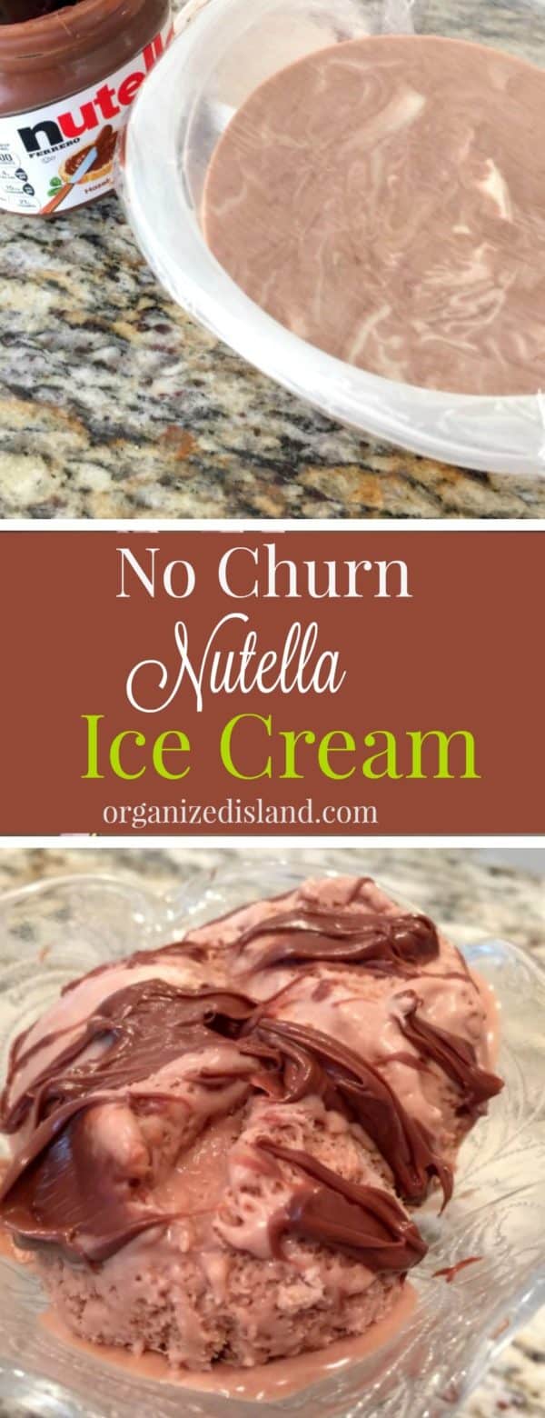 Nutella Ice Cream - Organized Island
